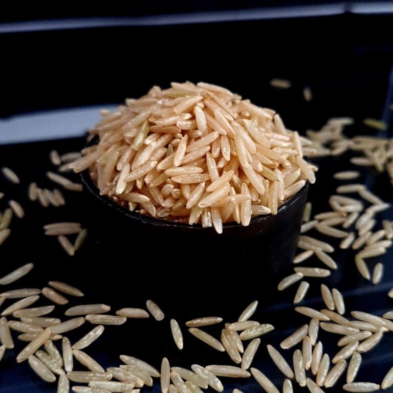Traditional Brown Organic Basmati Rice - Shivakriti Agro Private Limited